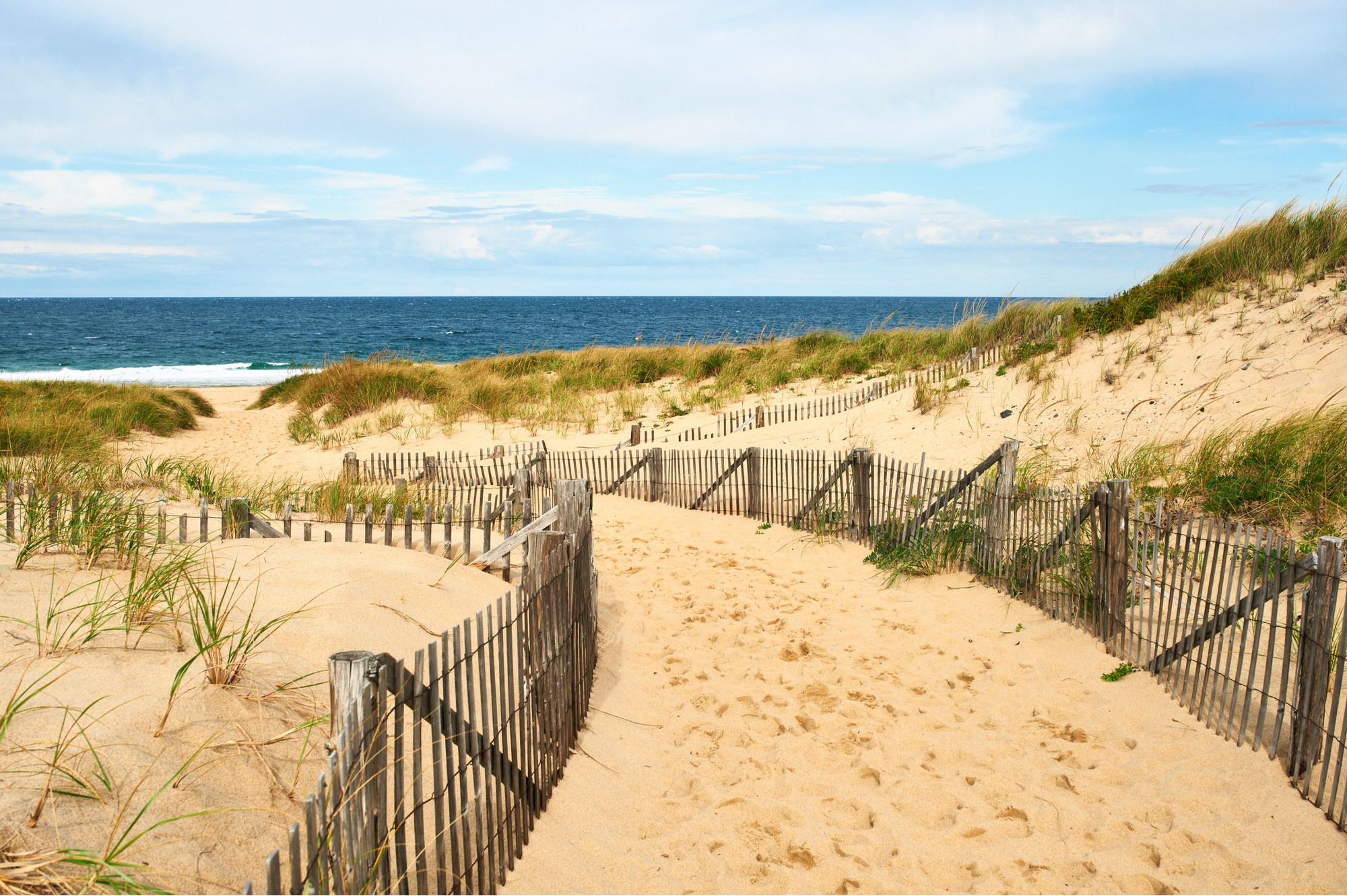 Why You Should Visit Cape Cod
